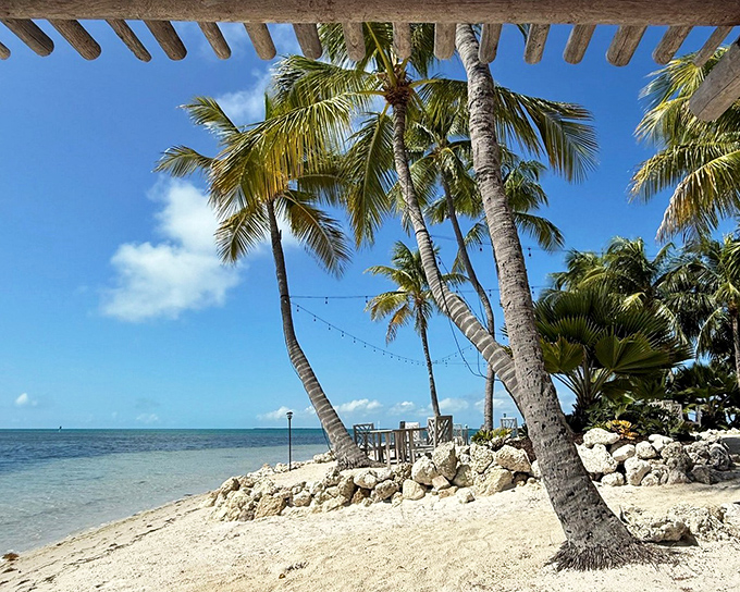 Palm trees frame the shoreline where crystal waters meet pristine sand &ndash; Mother Nature showing off her best work.