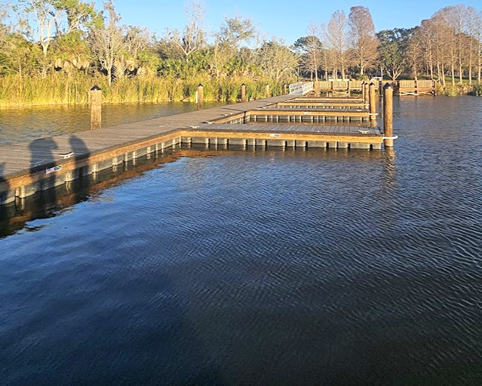 Wooden docks extend over the water like nature's observation decks, offering prime viewing spots where the lake becomes your personal wildlife theater.