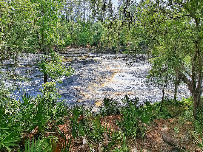 Rushing waters of Big Shoals create Florida's surprising whitewater experience, proving the Sunshine State isn't all about lazy rivers and calm beaches.
