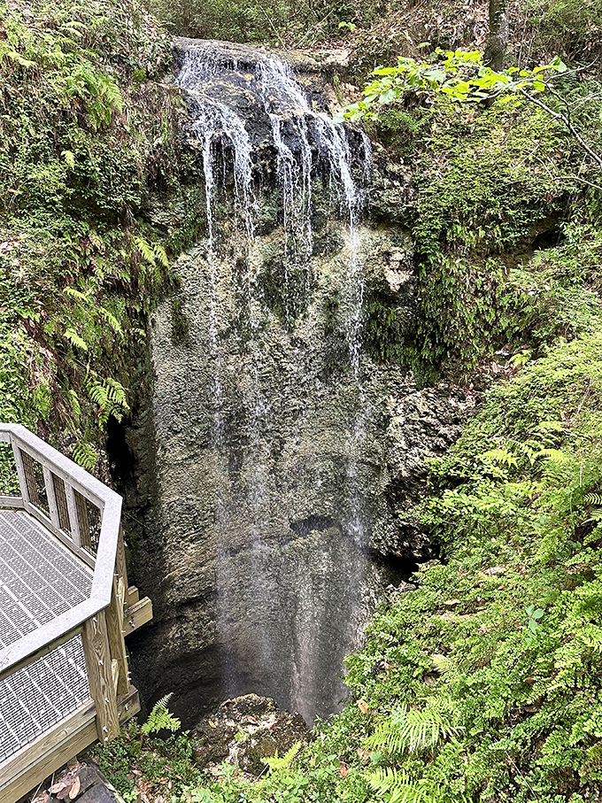 A cascading waterfall plunges into a mysterious sinkhole, disappearing into underground caverns at Falling Waters State Park.