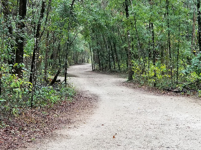 The unpaved section feels like a time machine back to old Florida, where red clay roads were the only highways anyone needed.