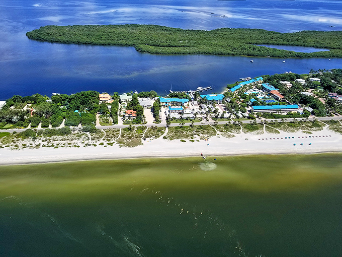 Nature's perfect sandwich! Sanibel Island's stunning aerial view showcases the delicate balance between pristine beaches, coastal development, and the lush mangrove preserve that makes this shelling paradise so special.