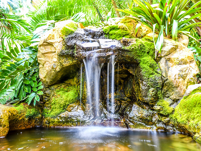 Sunken Gardens' waterfall adds tropical drama to this century-old paradise. Exotic plants frame this refreshing feature in St. Petersburg's hidden gem.