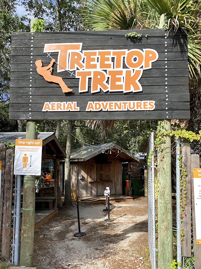 TreeTop Trek challenges adventurers to navigate obstacle courses high above the forest floor.