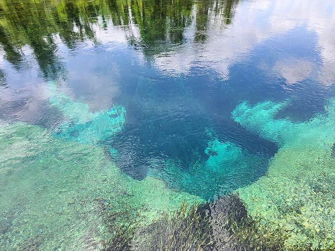 The wooden platform at Jackson Blue Springs offers a perfect jumping-off point into the refreshing, crystal-clear waters that bubble up from deep underground.