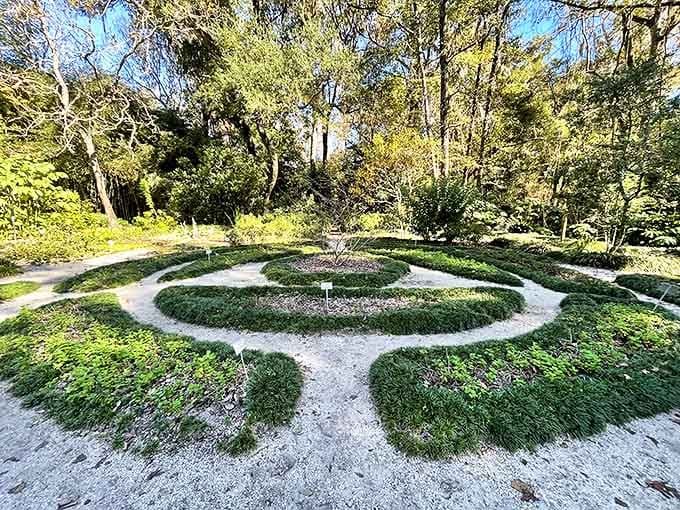 That circular garden design looks like someone drew it with a giant compass and green marker.