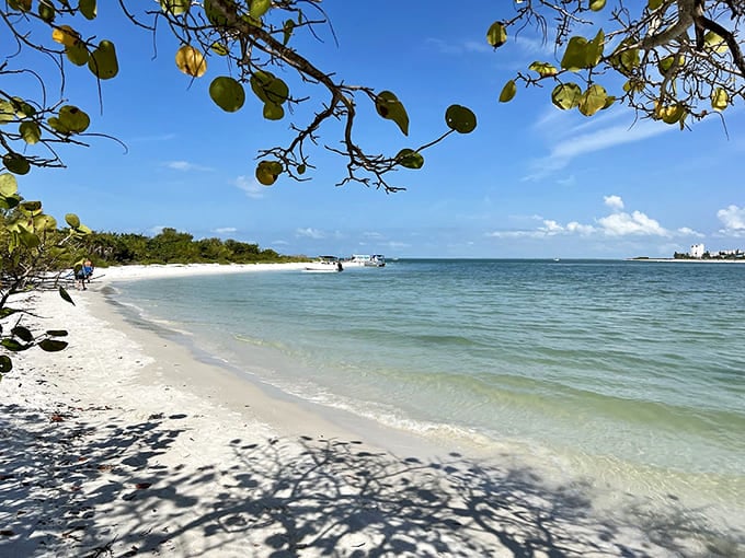 The calm waters here are perfect for spotting manatees and dolphins going about their daily routines.