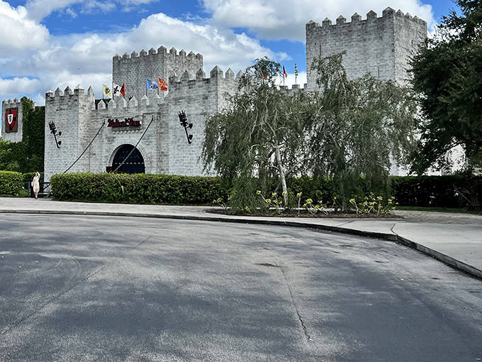 The castle's impressive exterior features classic medieval architecture with crenellated towers and stone walls that transport visitors back in time.