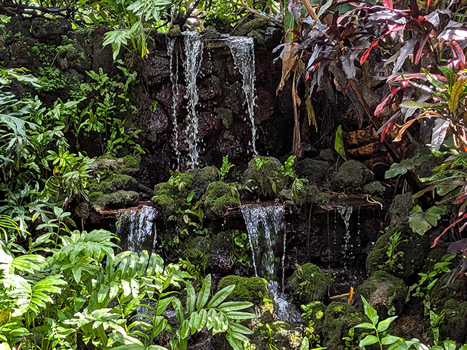 Another angle of Sunken Gardens reveals water flowing into a serene pond. This historic garden has been cooling visitors with its waterfalls since the 1920s.