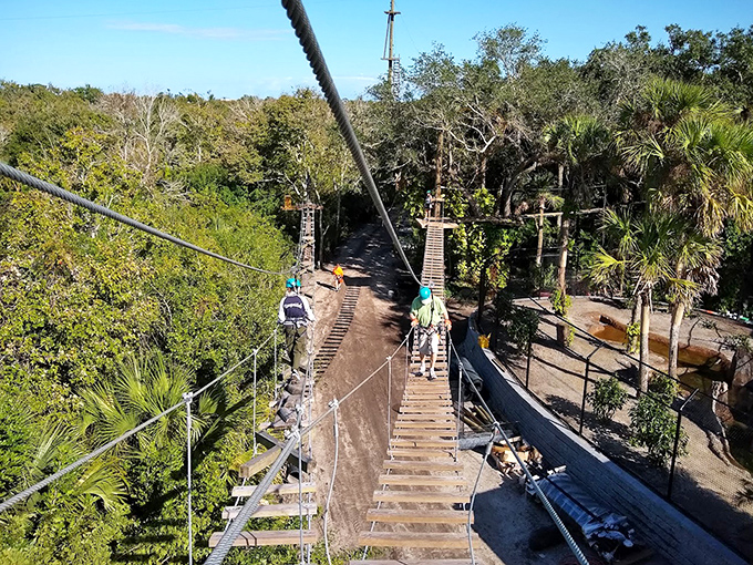 Zip line adventures offer bird's-eye views while soaring through Florida's natural canopy.