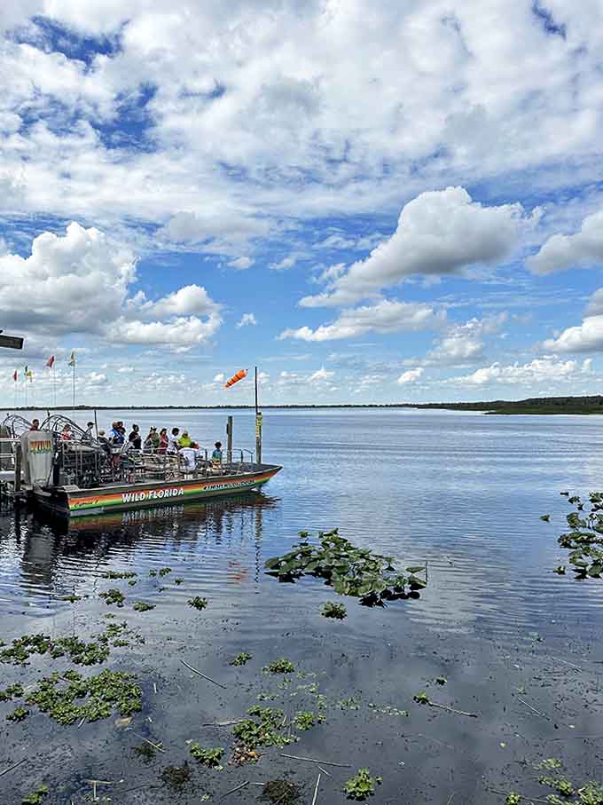 Under brilliant blue skies, passengers experience the thrill of gliding across waters where prehistoric creatures lurk just beneath the surface.