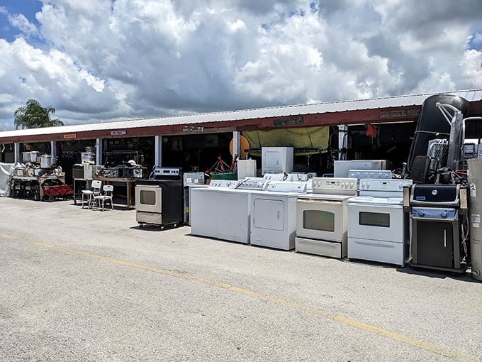 Yesterday's appliances line up like soldiers from another era, still ready to serve in today's kitchens.