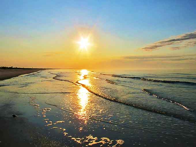 The Gulf's gentle waves create a hypnotic rhythm &ndash; nature's own meditation app, but infinitely more effective than anything on your phone.