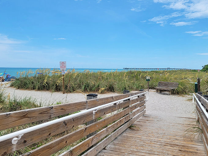 Brohard Paw Park—where four-legged friends discover that digging for shark teeth is almost as fun as chasing waves.