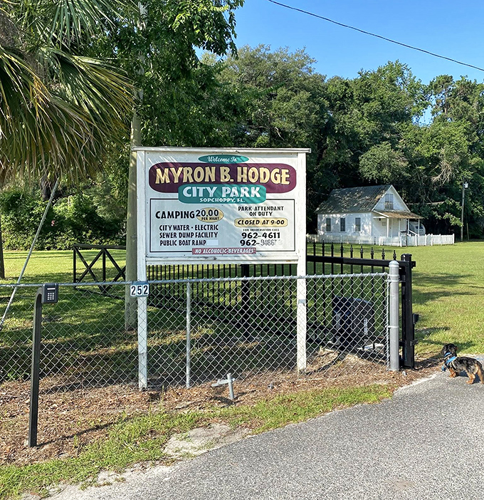 Myron B. Hodge City Park welcomes campers and day-trippers alike, offering a perfect basecamp for Sopchoppy adventures.