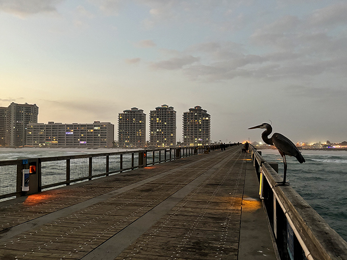Morning light bathes the pier in possibility, when the day's first footsteps echo across wooden planks.