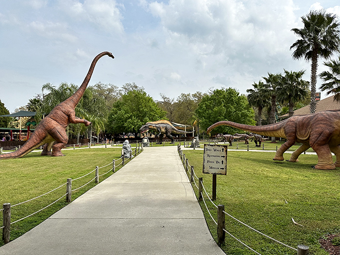 The dinosaur walkway offers the perfect opportunity to contemplate how quickly you'd become an appetizer in the actual Jurassic period.