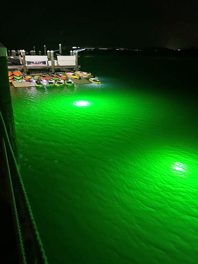 Dock area at night: Emerald waters glow beneath the dock, creating an otherworldly launching pad for nocturnal explorers seeking marine magic.