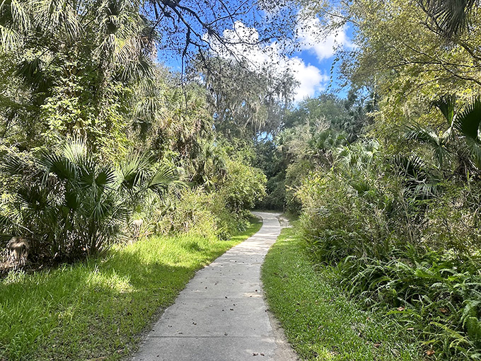 Nature's hallway: This sun-dappled trail invites visitors to wander through Florida's wild side without a single "keep off the grass" sign in sight.