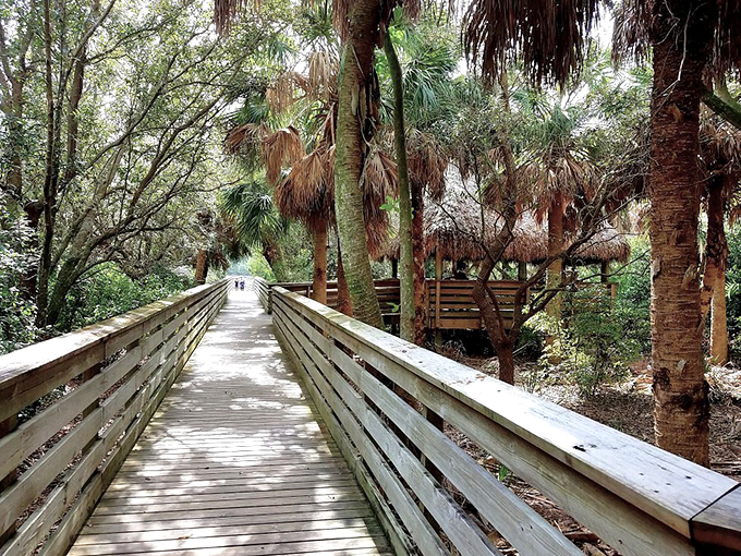 Green Cay's elevated boardwalk offers front-row seats to Florida's wild side, where alligators and birds don't seem to mind having an audience.