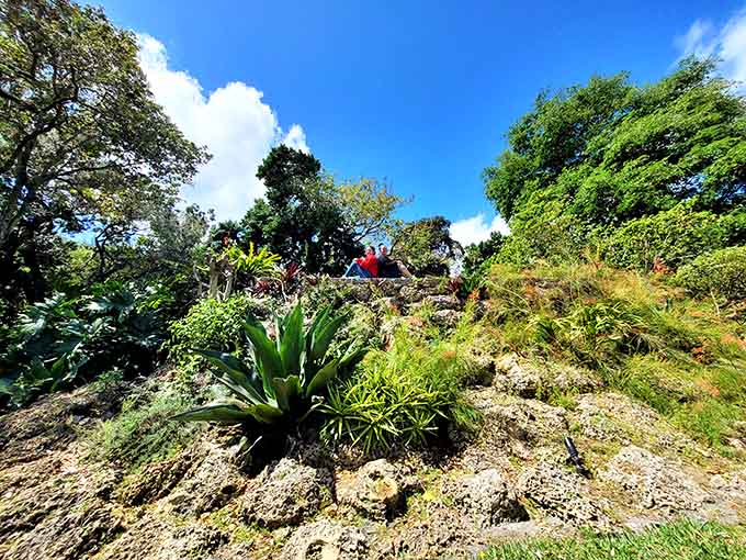 Winding paths disappear into lush greenery, promising adventures and the kind of discoveries that make excellent dinner party stories.