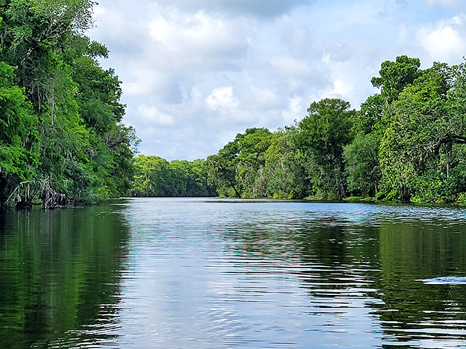 Hontoon Island State Park offers a serene escape where the only traffic jam you'll encounter involves turtles sunning themselves on fallen logs.