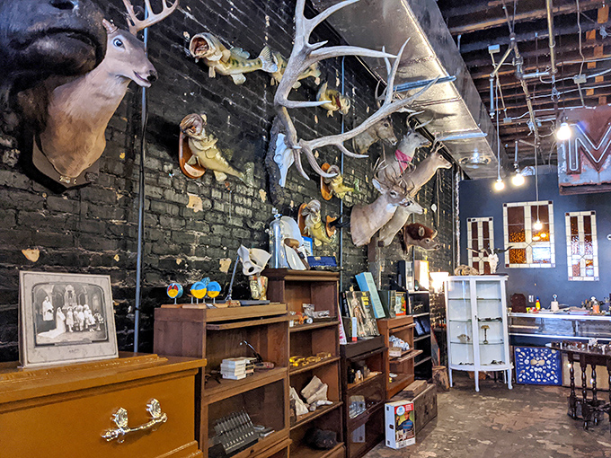 Antlers and taxidermy specimens create a natural history museum vibe, with each piece carefully positioned against exposed brick walls.