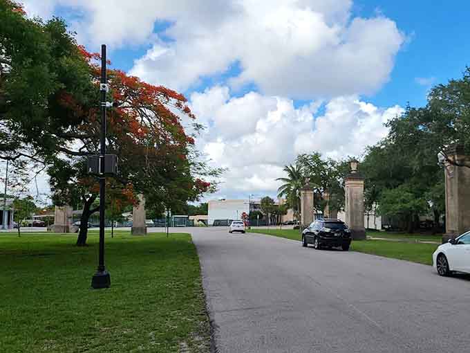 Ancient oaks spread their canopy like nature's own cathedral ceiling, no construction permits required.