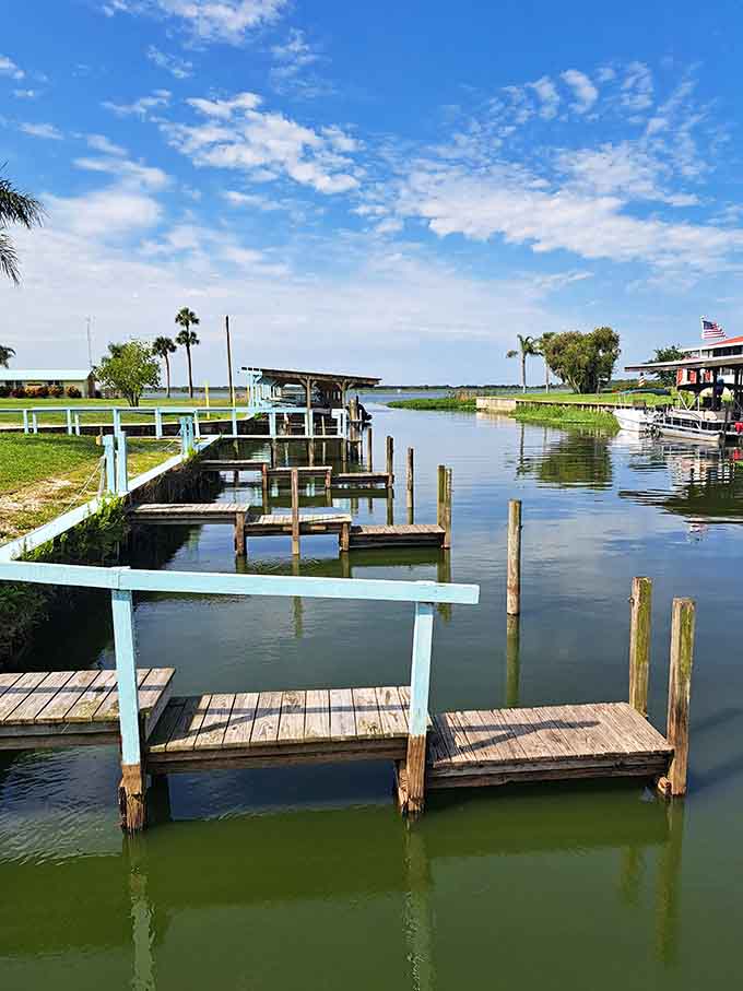 Private docks dot the shoreline like punctuation marks in a love letter to the lake, each one representing someone who discovered this paradise and decided to stay awhile.