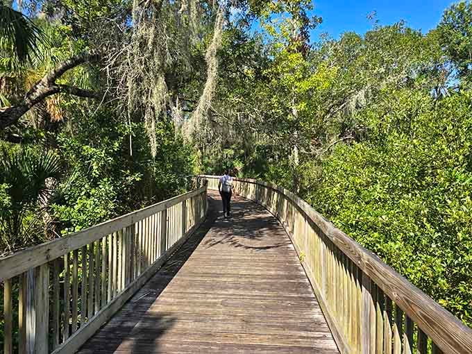 This boardwalk meanders through scenery so pretty it makes you forget you're technically exercising, which is the best kind of exercise there is.