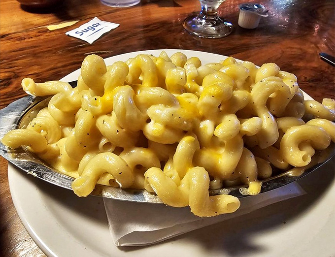 This mac and cheese isn't just comfort food – it's a creamy, cheesy embrace in bowl form that might make you tear up a little.