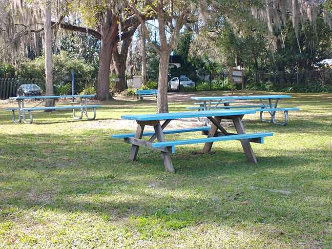 Blue benches scattered across the grounds offer front-row seats to nature's daily show, no ticket required for this performance.