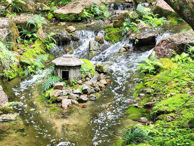 Where water plays hide and seek among stones that have been perfecting their poses for decades.