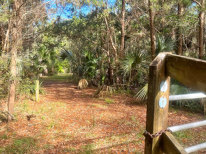 Not all who wander are lost &ndash; but bring a map anyway. This trail entrance promises wilderness without the crowds.