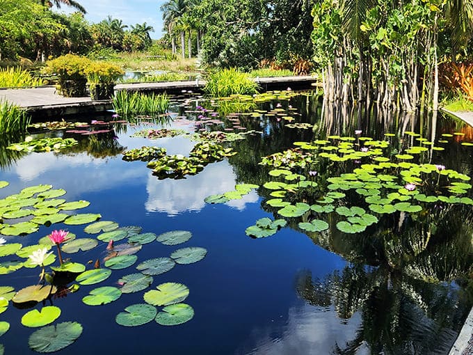 Water lilies float serenely on reflective ponds, providing that classic garden beauty that never goes out of style, unlike your high school haircut.
