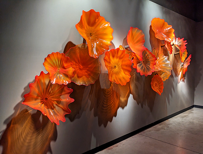 Persian Wall discs capture light like frozen sunsets, their amber and crimson hues creating a tapestry of warmth against the dark background.