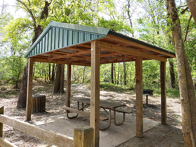This rustic pavilion offers a shaded respite for picnickers, turning simple sandwiches into five-star dining with that view.
