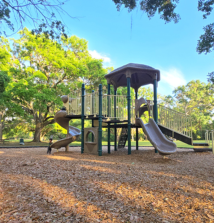 Children's laughter echoes from this playground where slides and climbing structures provide the perfect energy outlet between nature walks.