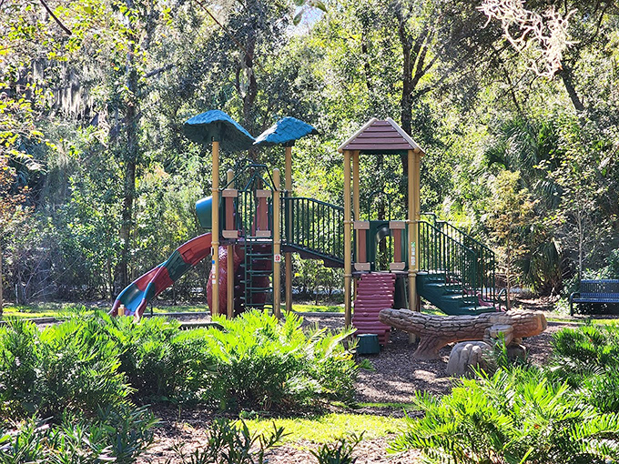 The playground area offers young explorers a chance to burn energy before setting off on their own wildlife safari.