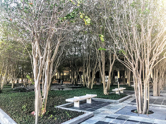 The museum's tranquil garden provides a mathematical maze where visitors can contemplate surrealism amid Florida's natural beauty.