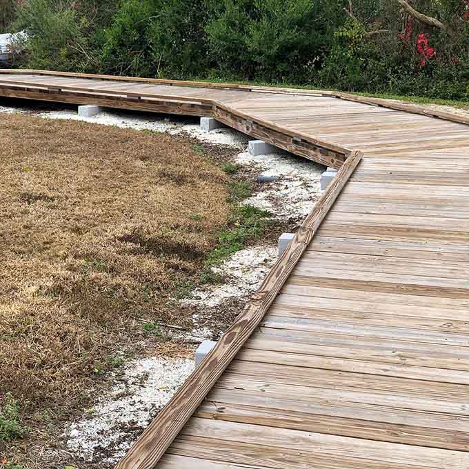 Boardwalks protect delicate ecosystems while giving visitors a front-row seat to nature's ongoing performance, no ticket required.