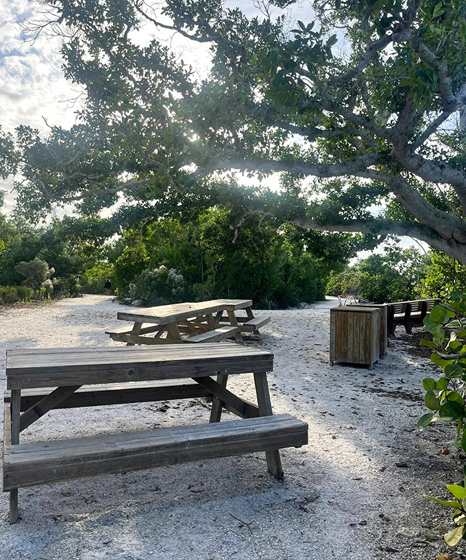 Picnic tables nestled under ancient trees offer the perfect excuse to linger longer &ndash; because sandwiches always taste better with a side of birdsong.