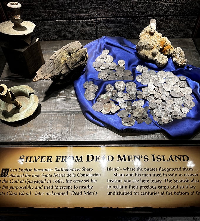 Silver coins recovered from "Dead Men's Island" glint with dark history &ndash; Bartholomew Sharp's ill-gotten gains frozen in time.