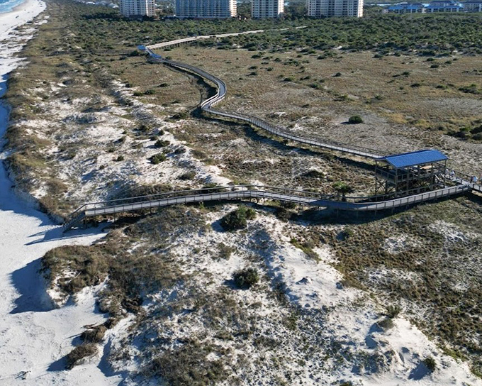 Smyrna Dunes Park's elevated boardwalk winds through pristine coastal ecosystems, protecting fragile dunes while offering spectacular ocean views.