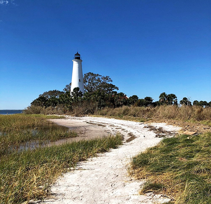 St. Marks Lighthouse stands like Florida's exclamation point, a whitewashed sentinel guarding coastal wilderness since 1842.
