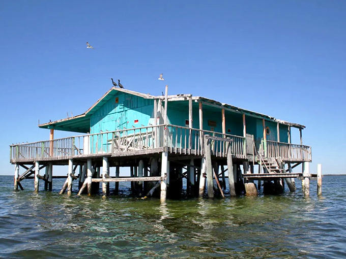 Turquoise paint brightens this Gulf sentinel, standing on weathered legs like a wading bird watching for fish.