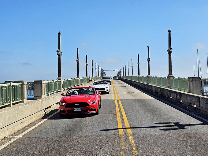 Driving across feels like entering a movie set where vintage Florida meets Mediterranean charm, minus the passport requirements.