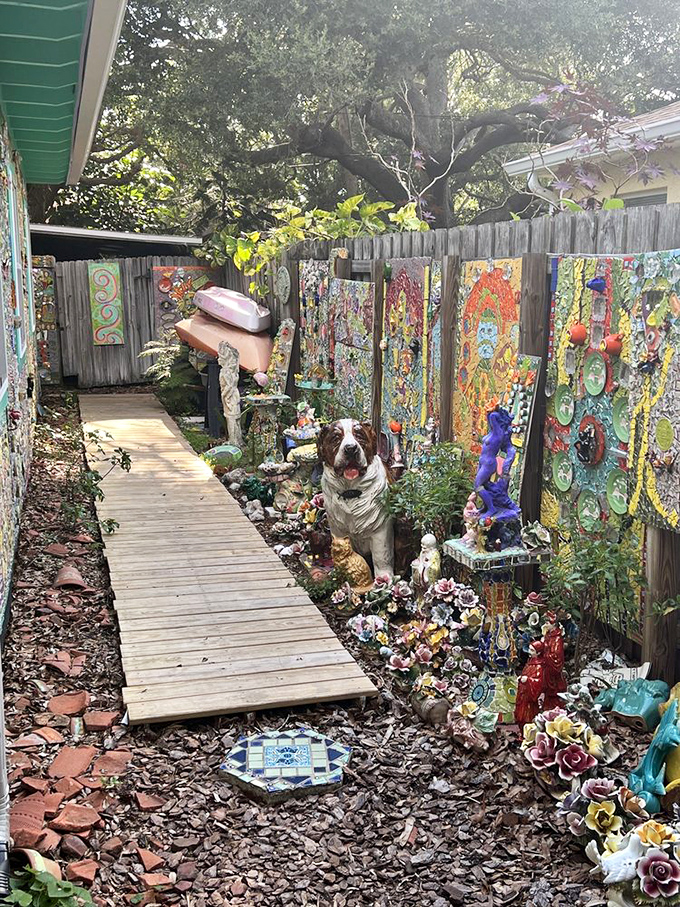 A wooden walkway guides visitors through this artistic jungle, where even the dog seems to appreciate living in a masterpiece.