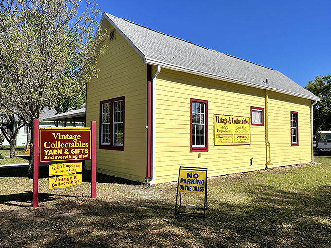 Viola's Emporium: where "just browsing" turns into "treasure hunting" faster than you can say "vintage collectibles."