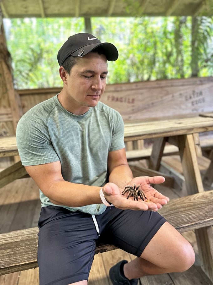 That's not fear on this visitor's face &ndash; it's the look of someone reconsidering their life choices while holding eight furry legs of pure arachnid adventure.